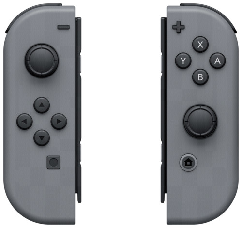 Nintendo Joy-Con 2er Set Grau Grau (2510066) - Preisvergleich